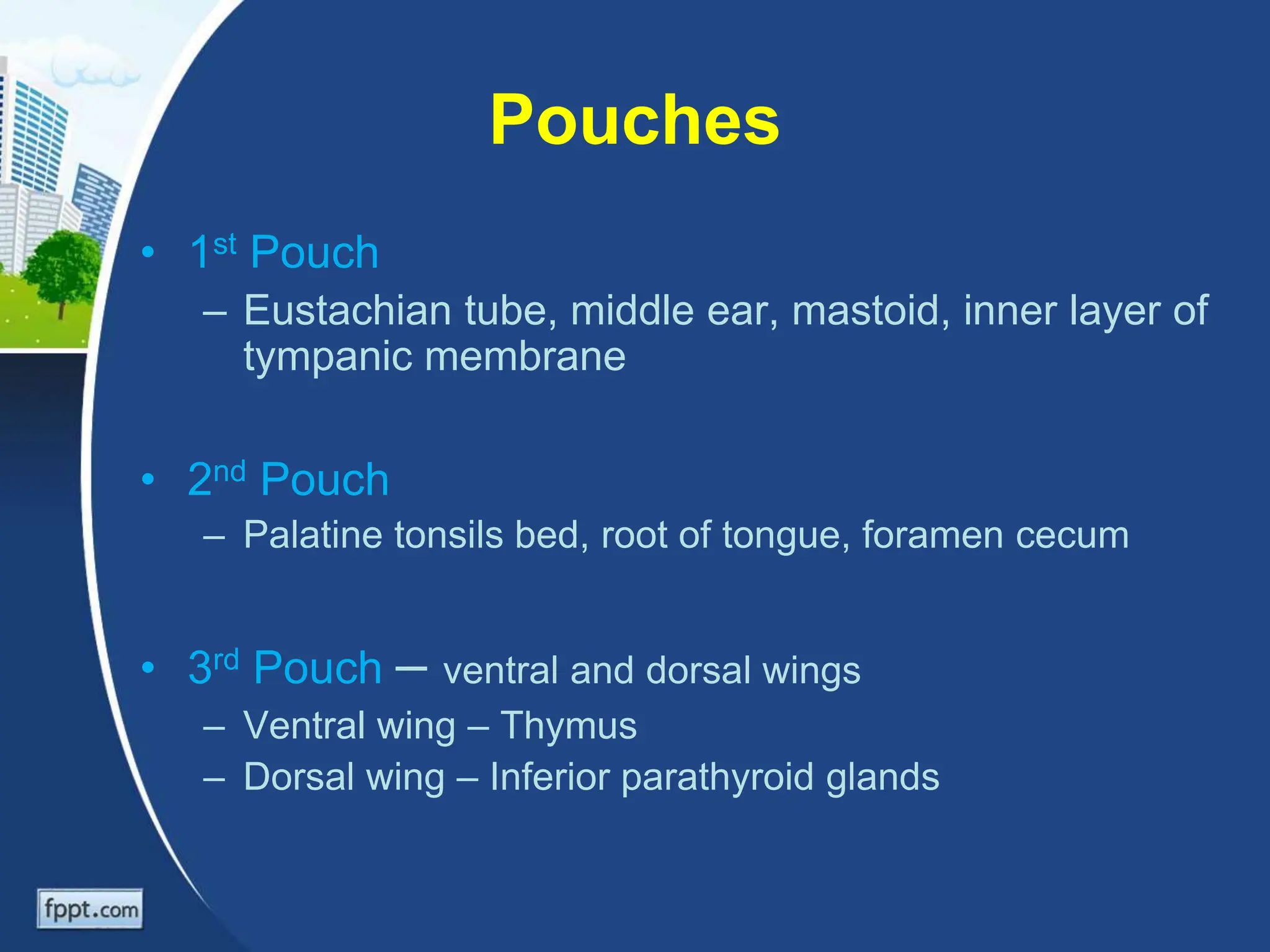 Embryology of Pharyngeal arches and it's clinical aspect.ppt