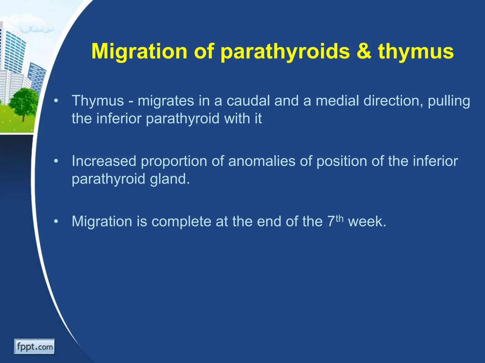 Embryology of Pharyngeal arches and it's clinical aspect.ppt