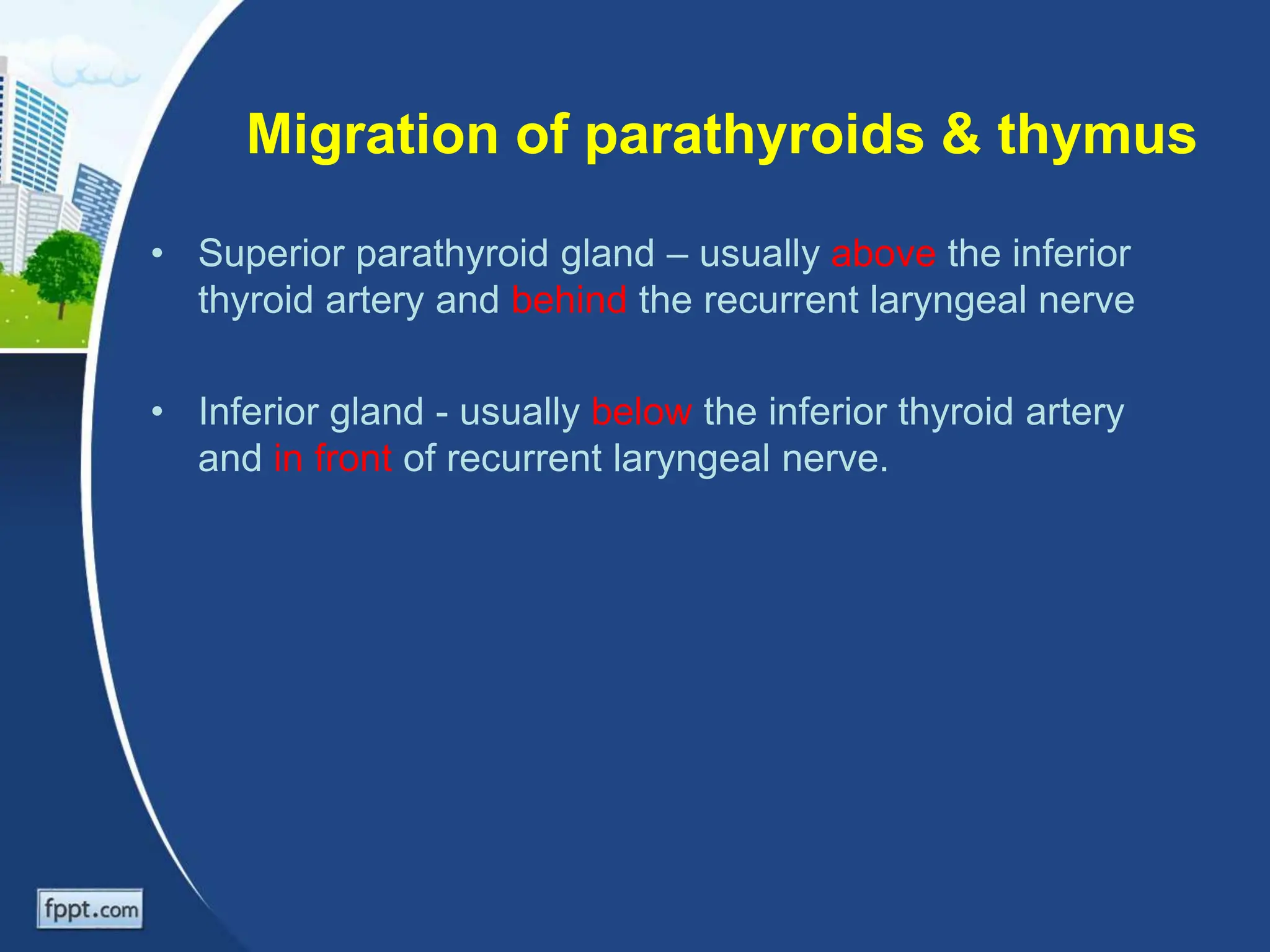 Embryology of Pharyngeal arches and it's clinical aspect.ppt