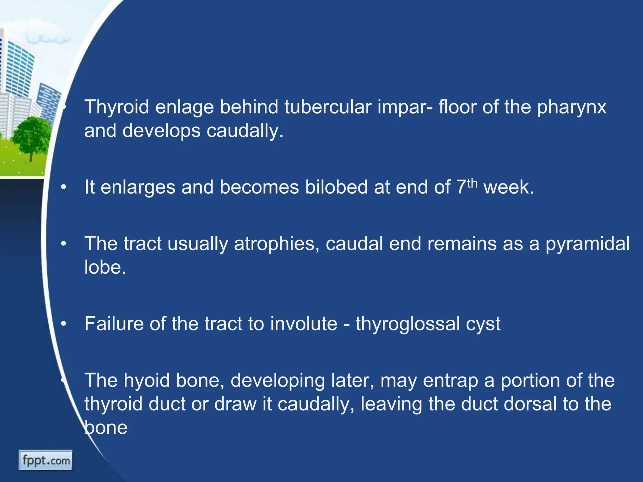 Embryology of Pharyngeal arches and it's clinical aspect.ppt