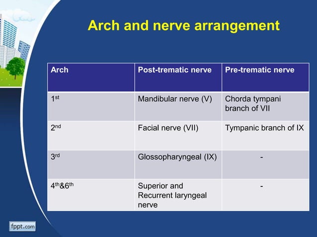 Embryology of Pharyngeal arches and it's clinical aspect.ppt