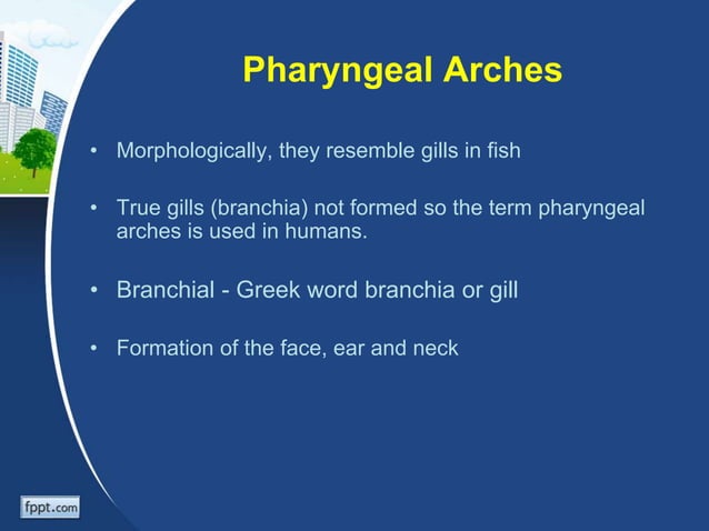 Embryology of Pharyngeal arches and it's clinical aspect.ppt