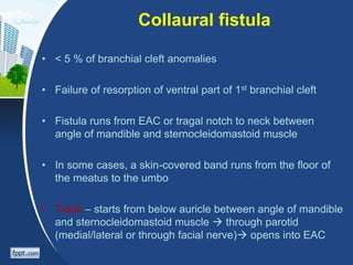 Embryology of Pharyngeal arches and it's clinical aspect.ppt