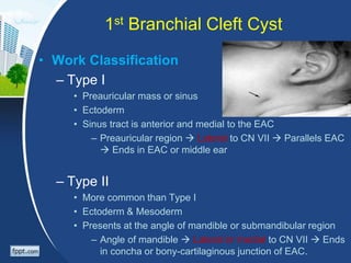 Embryology of Pharyngeal arches and it's clinical aspect.ppt