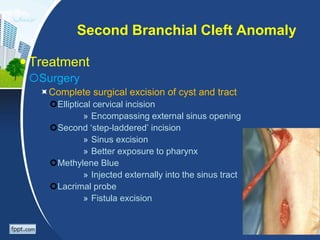 Embryology of Pharyngeal arches and it's clinical aspect.ppt