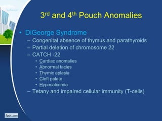 Embryology of Pharyngeal arches and it's clinical aspect.ppt