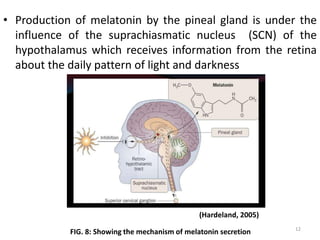 Embryology of pineal and adrenal gland by Zachariah Richard | PDF