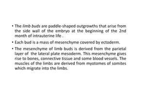 Embryology of skeletal system | PPT