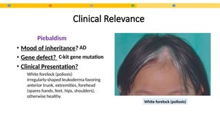 Embryology of Skin - Epidermal Development , Development of the ...