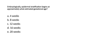 Embryology of Skin - Epidermal Development , Development of the ...