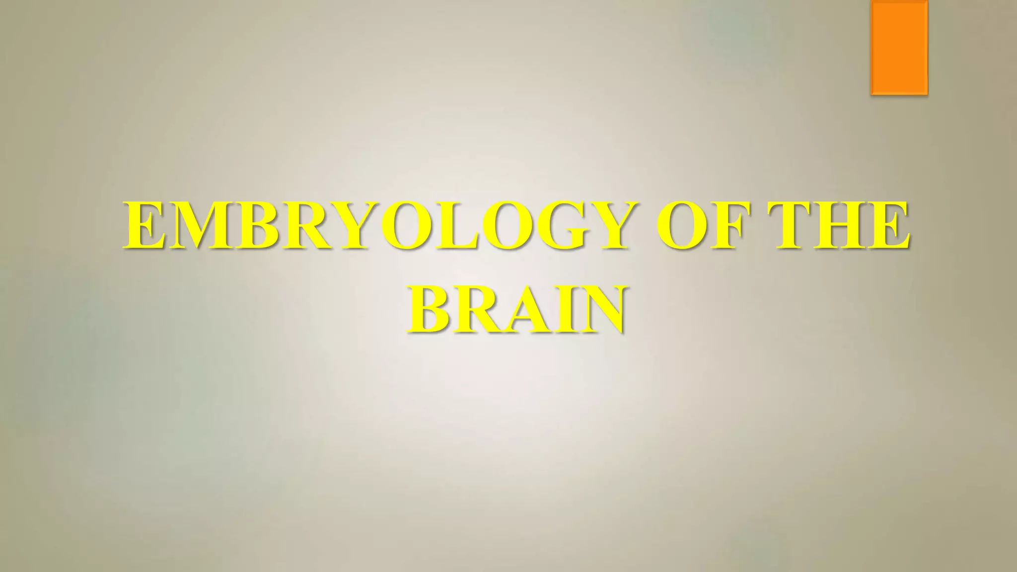 Embryology Of The Brain.pptx