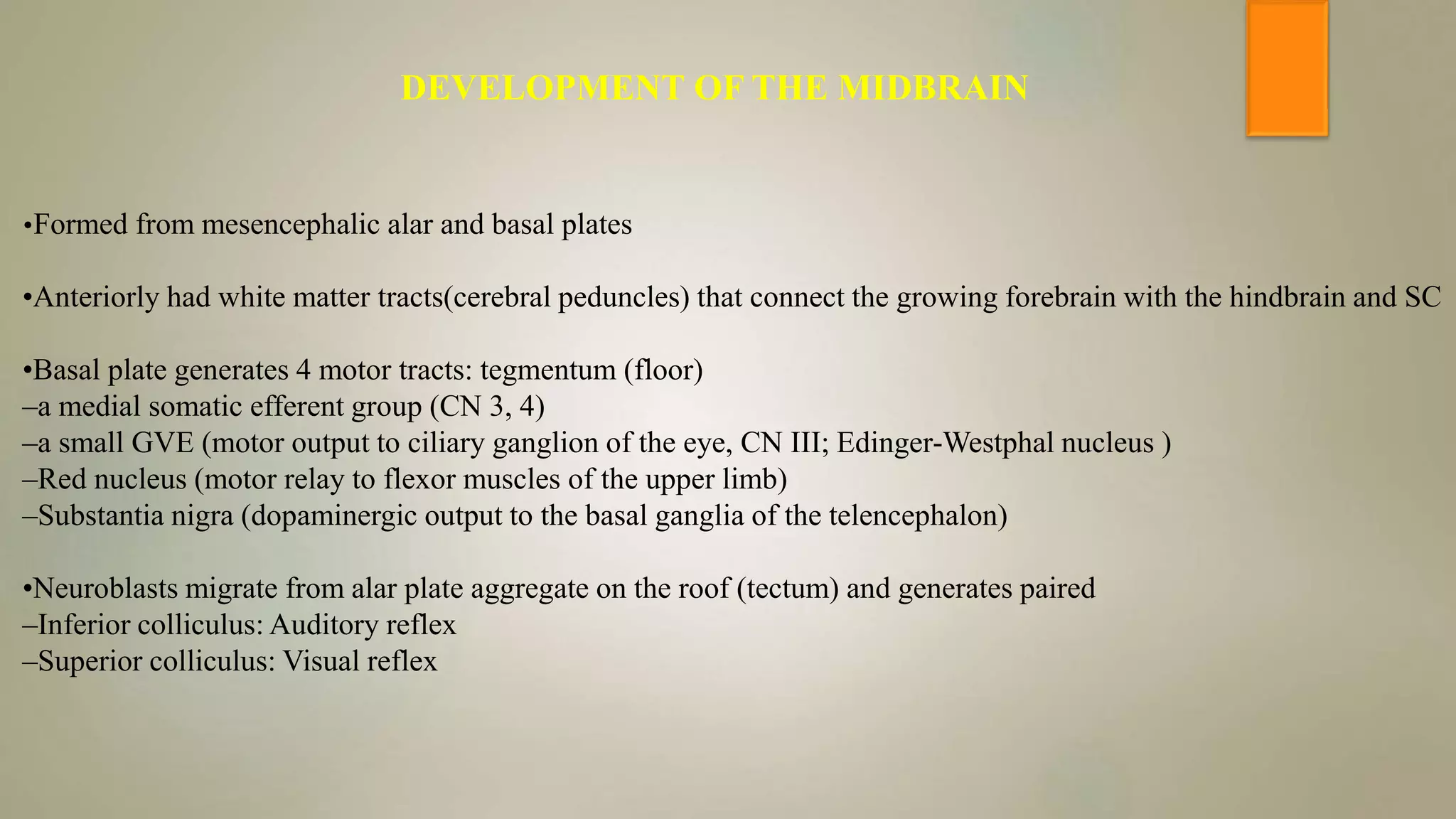 Embryology Of The Brain.pptx