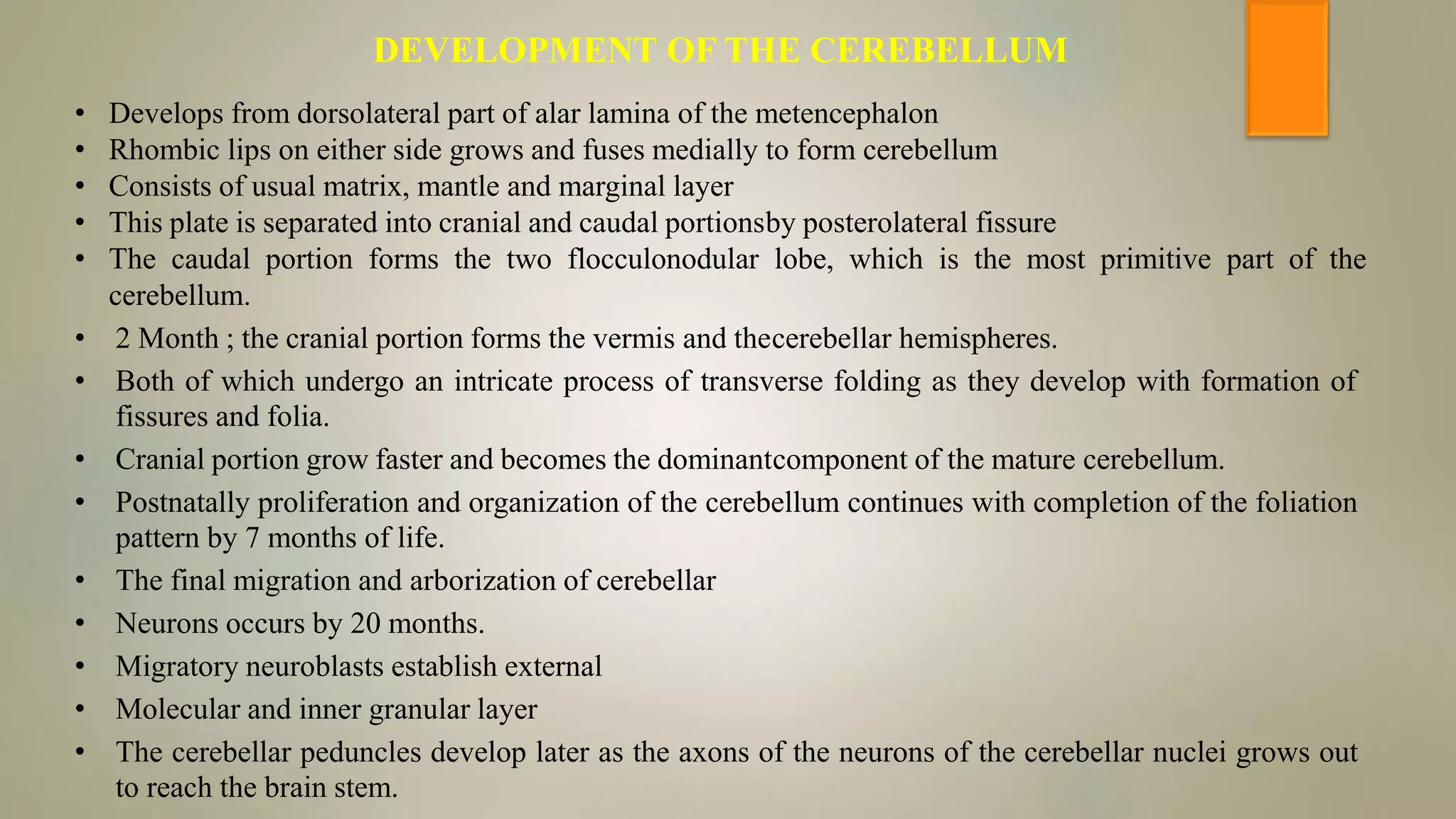 Embryology Of The Brain.pptx