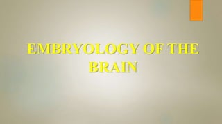 Embryology Of The Brain.pptx