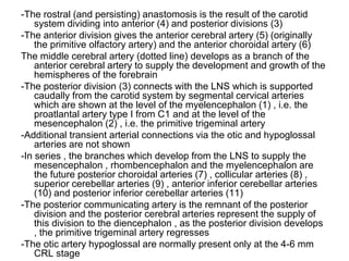 Embryology of the cranial circulation | PPT