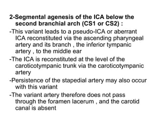 Embryology of the cranial circulation | PPT