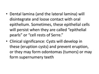 EMBRYOLOGY OF THE DENTITION.pptx