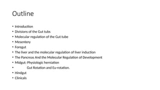 Embryology of the Digestive System revised.pptx