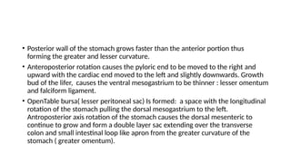Embryology of the Digestive System revised.pptx