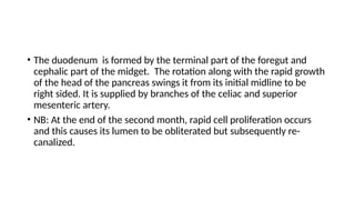 Embryology of the Digestive System revised.pptx
