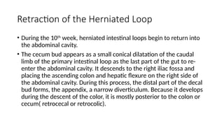 Embryology of the Digestive System revised.pptx
