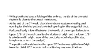 Embryology of the Digestive System revised.pptx