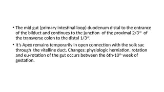 Embryology of the Digestive System revised.pptx