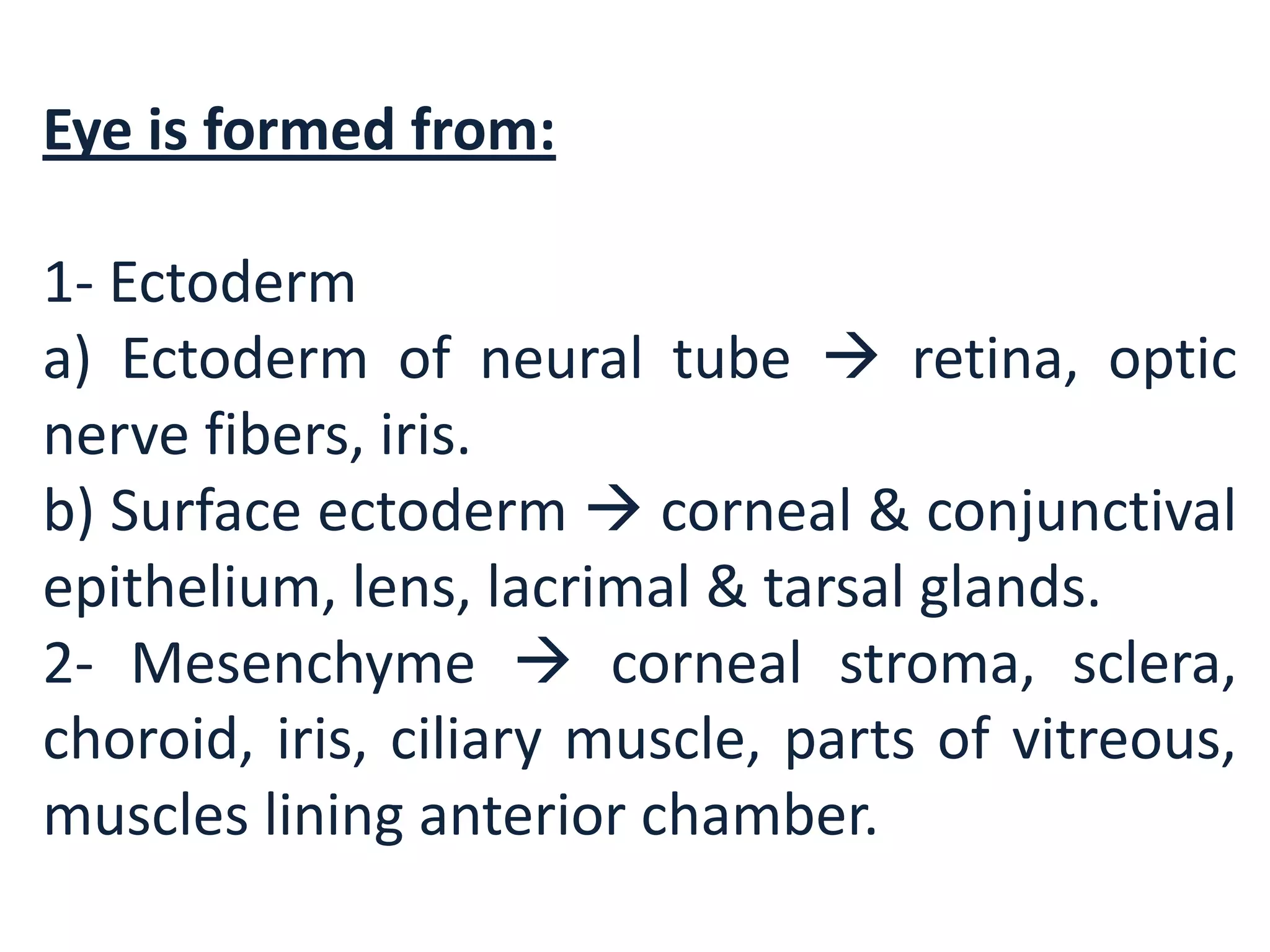 Embryology of the eye | PPTX