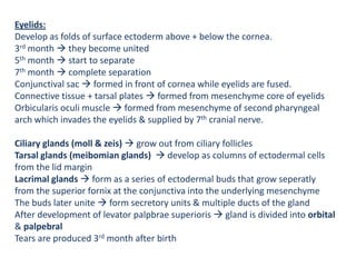 Embryology of the eye | PPTX