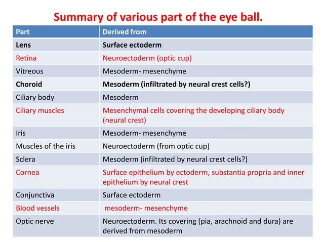 Embryology of the eye | PPTX