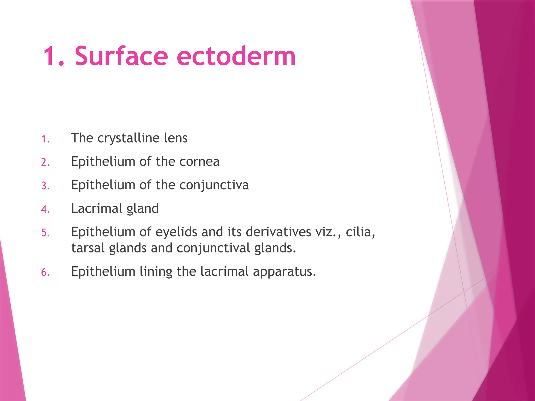 Embryology of the eye in fetus to from and eye | PPT