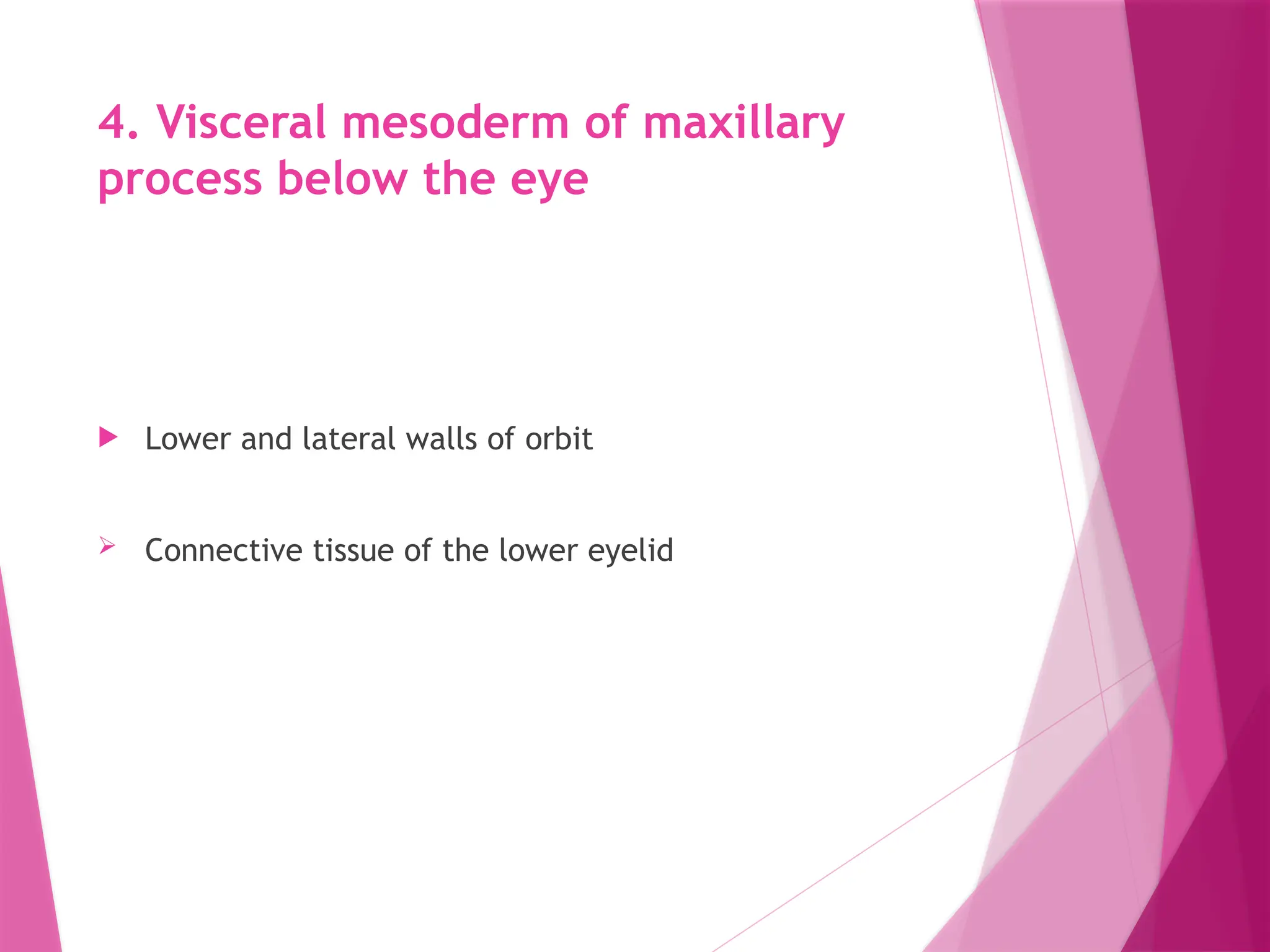 Embryology of the eye in fetus to from and eye | PPT