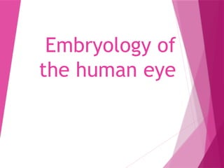 Embryology of the eye in fetus to from and eye | PPTX