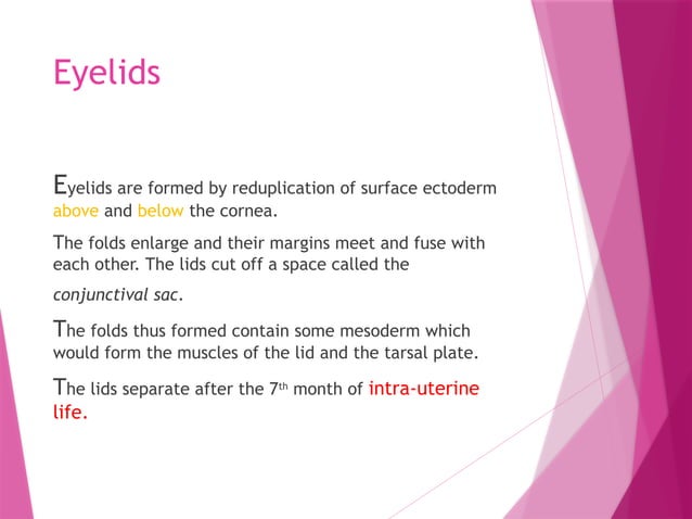 Embryology of the eye in fetus to from and eye | PPT