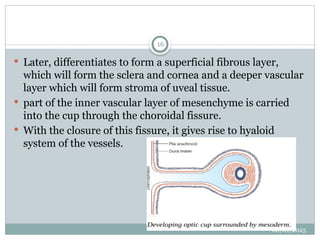 EMBRYOLOGY OF THE EYE with detail explanation.pptx