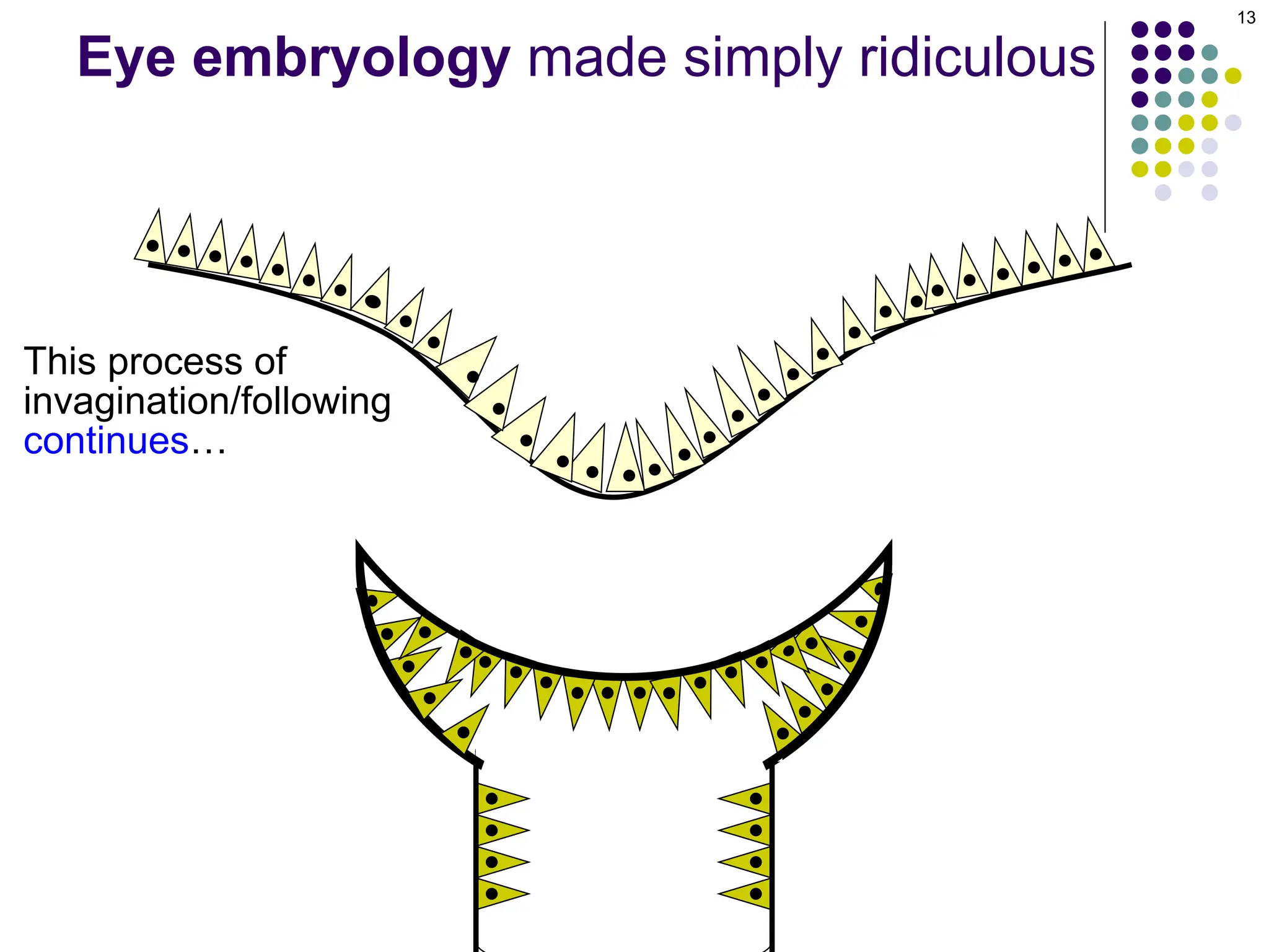 Embryology of the Eye Made Rediculously Simple.pdf