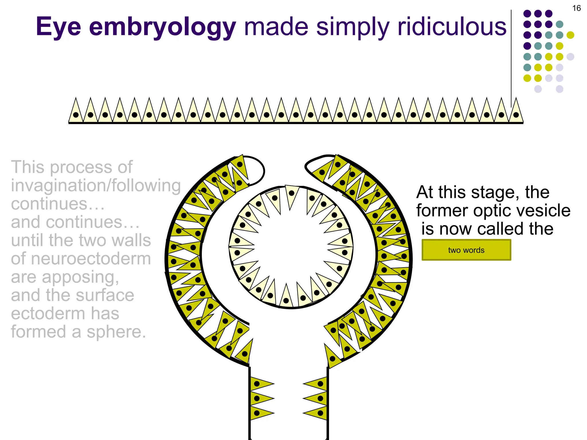 Embryology of the Eye Made Rediculously Simple.pdf