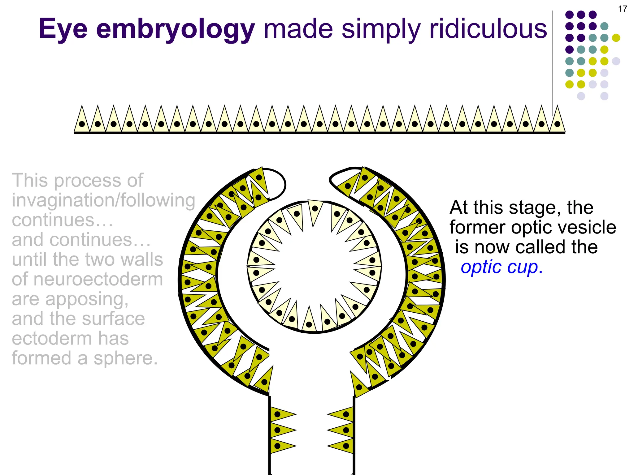 Embryology of the Eye Made Rediculously Simple.pdf