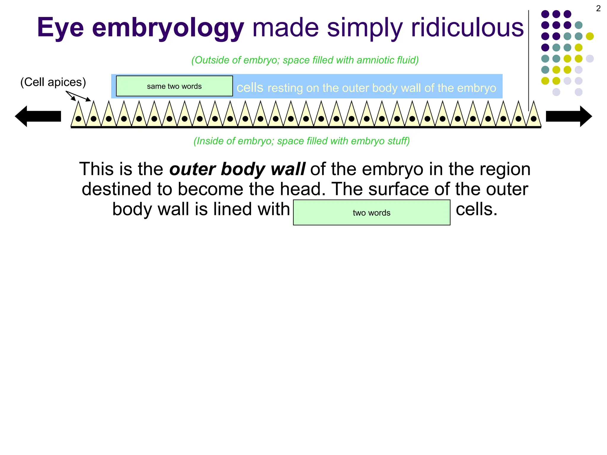 Embryology of the Eye Made Rediculously Simple.pdf