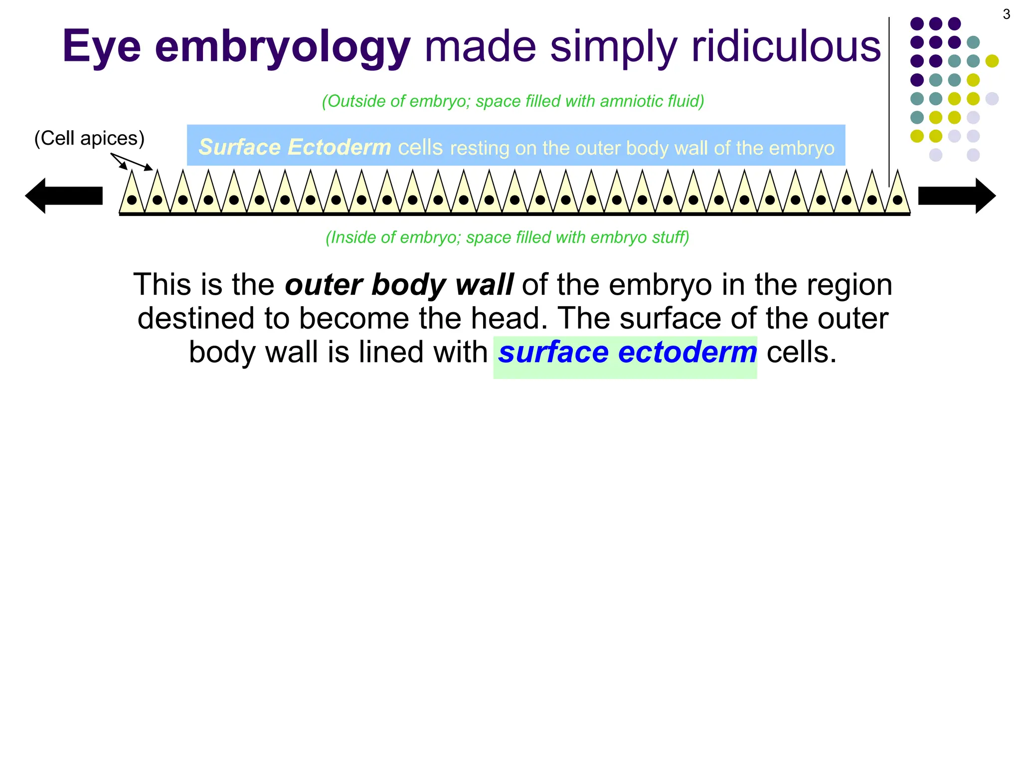 Embryology of the Eye Made Rediculously Simple.pdf