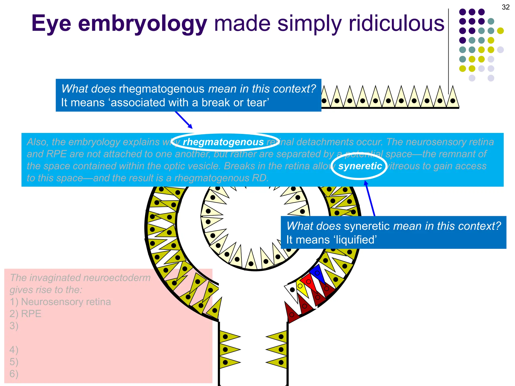 Embryology of the Eye Made Rediculously Simple.pdf
