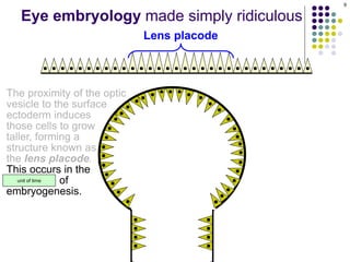 Embryology of the Eye Made Rediculously Simple.pdf