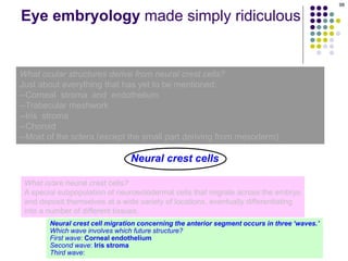 Embryology of the Eye Made Rediculously Simple.pdf