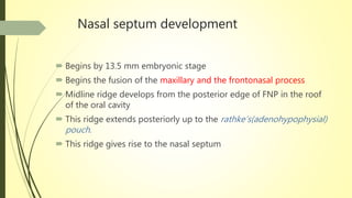 Embryology of the face, nose & pns beba | PPTX