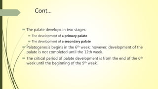 Embryology of the face, nose & pns beba | PPTX