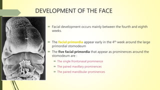Embryology of the face, nose & pns beba | PPTX