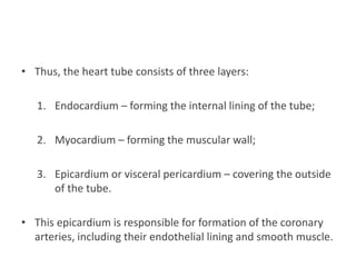 Embryology of the heart | PPTX