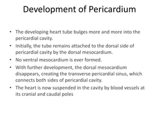 Embryology of the heart | PPTX