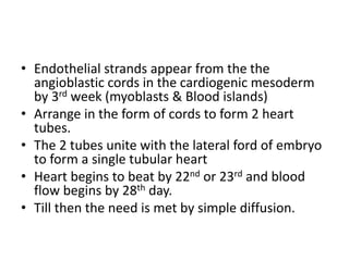 Embryology of the heart | PPTX