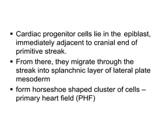 Embryology of the heart | PPTX